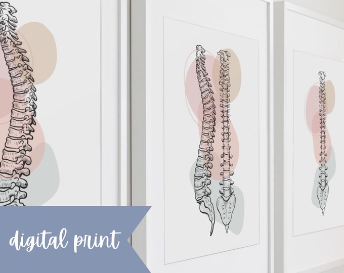 Printable Spine Art Posters for Chiropractors | Chiropractic Wall Art Perfect for Chiropractic ...