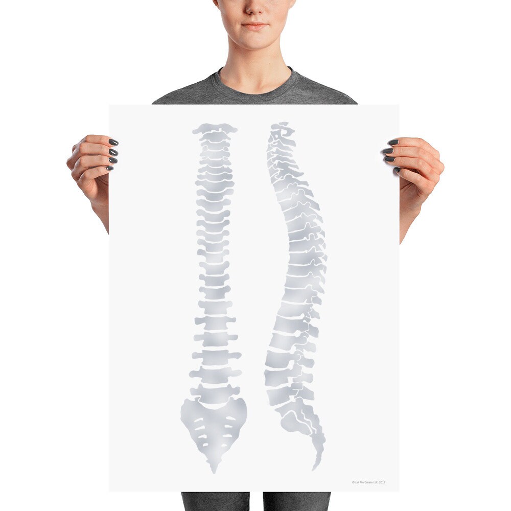 Spine Poster Chiropractic Chiropractor Chiropractic Office - Etsy