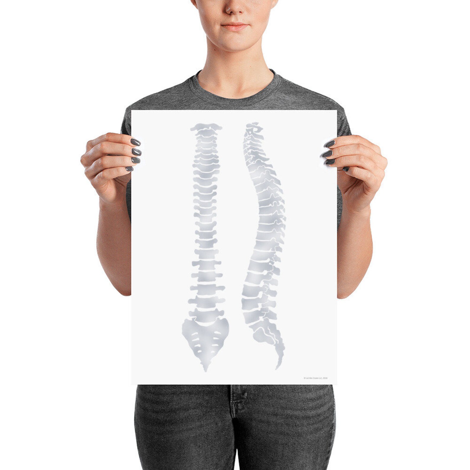 Spine Poster Chiropractic Chiropractor Chiropractic Office - Etsy