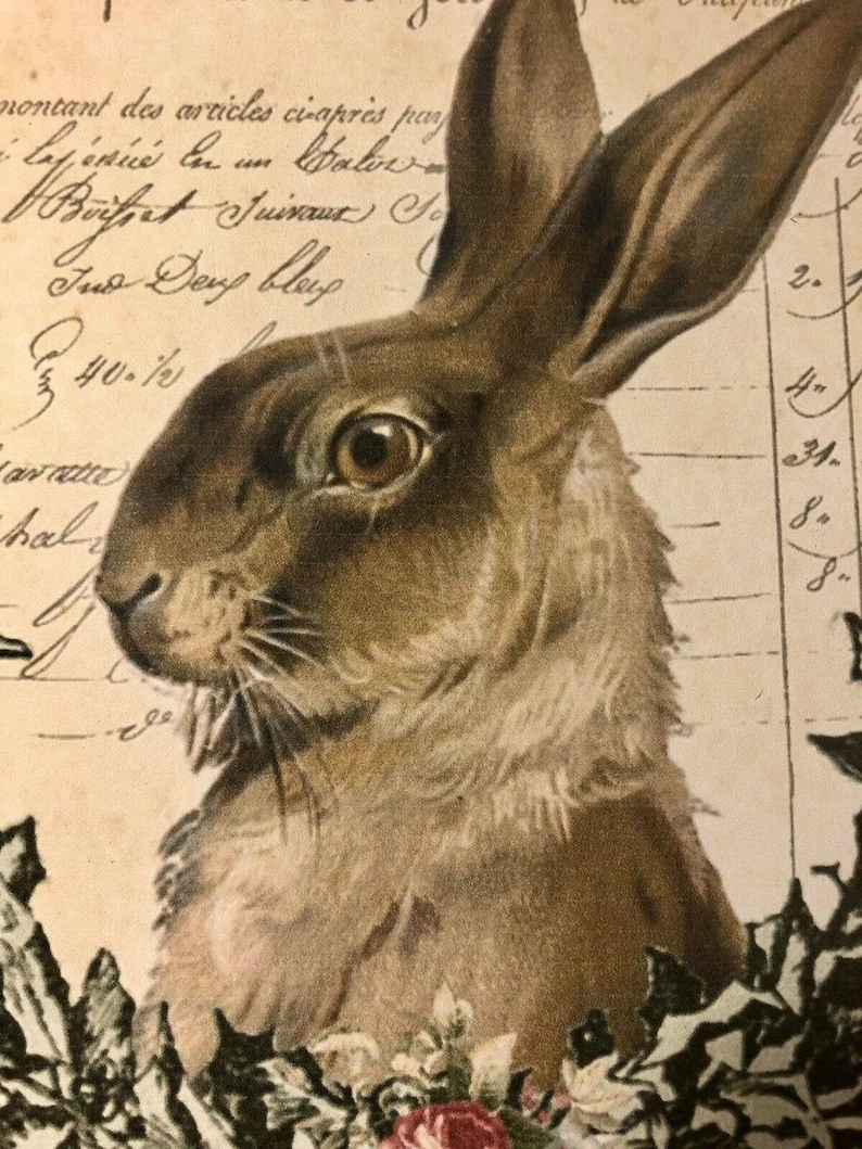 Shabby Chic French Country Rabbit Looking Left HANDCRAFTED - Etsy