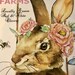 Wild Bunny Farms, Rabbit, Easter HANDCRAFTED Plaque / Sign - Etsy