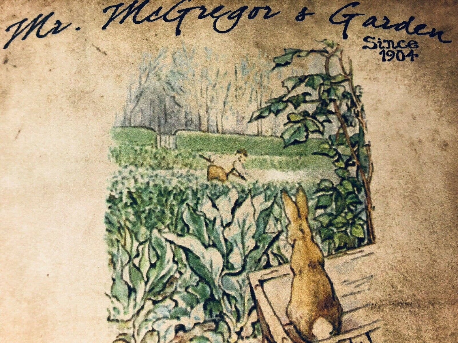 Peter Rabbit Mr. Mcgregor's Garden PRIMITIVE Handcrafted - Etsy