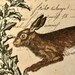 Brown Rabbit Vintage Style French Country HANDCRAFTED Plaque - Etsy