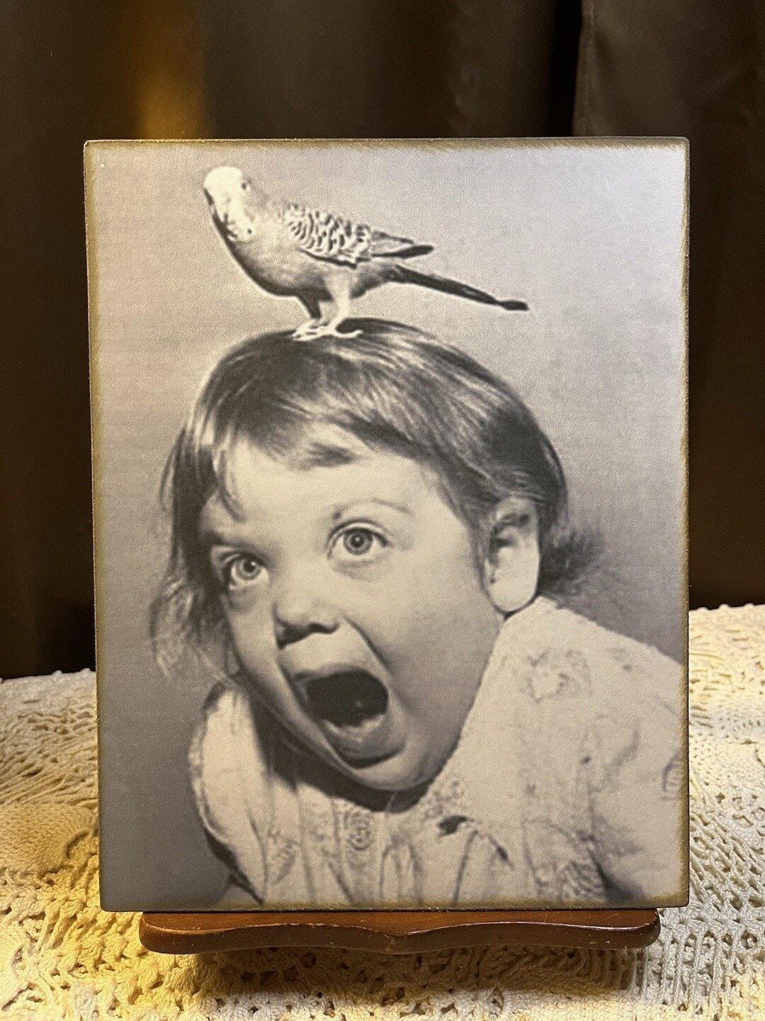 Scared Little Girl With Canary on Head, Handcrafted Plaque Sign - Etsy
