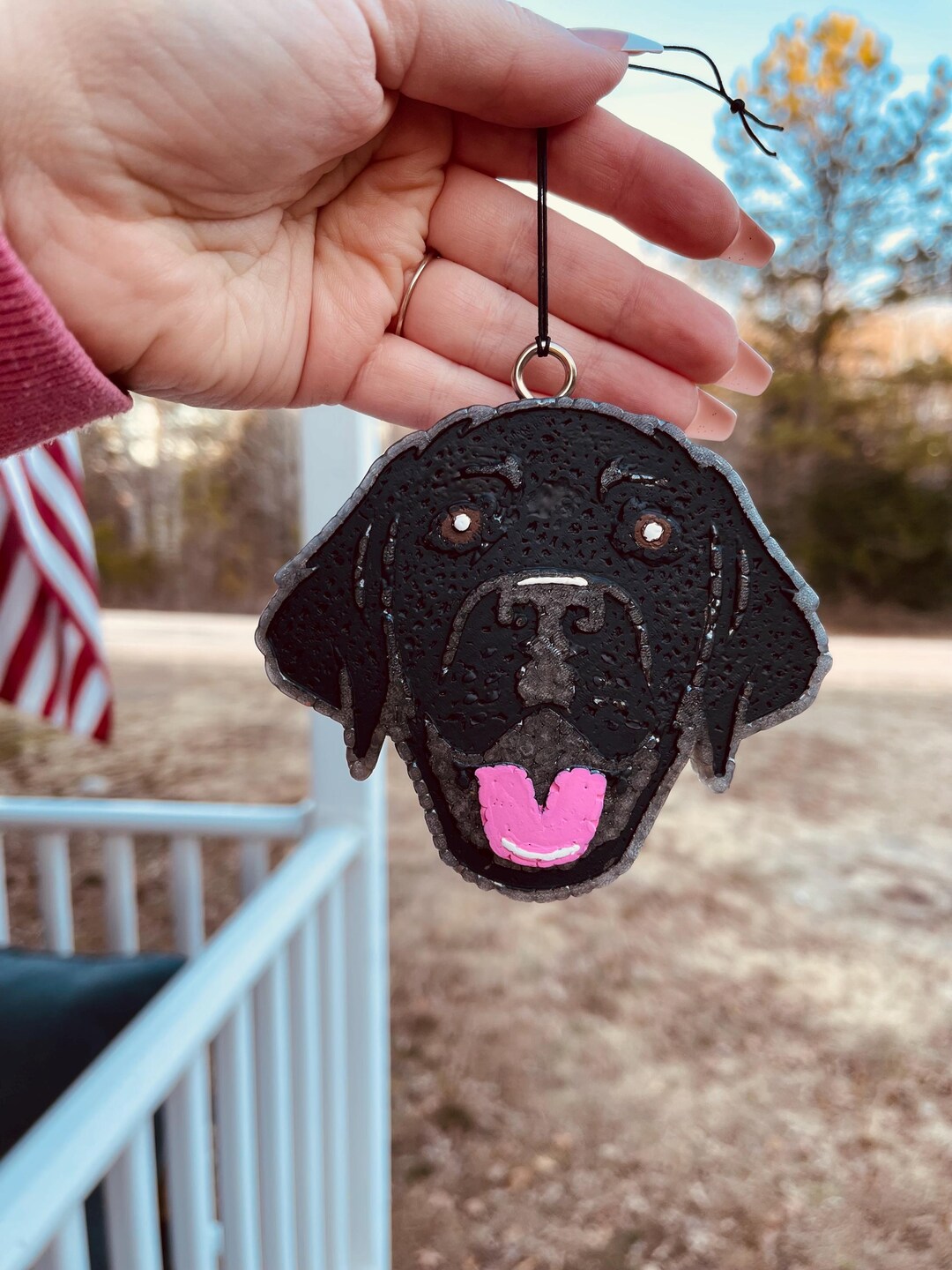 Lab Car Freshie - Etsy