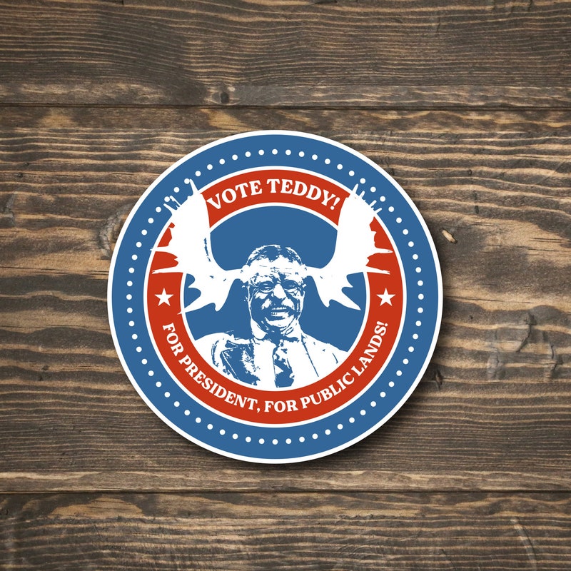 Teddy Roosevelt - Etsy