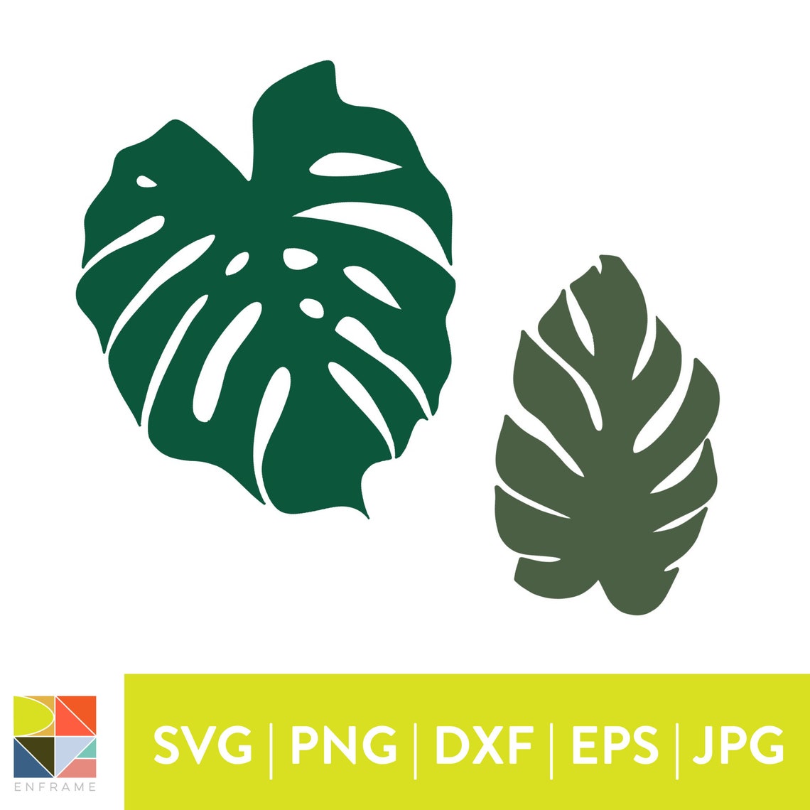 Monstera SVG Monstera Leaves Cricut Silhouette Cut File - Etsy