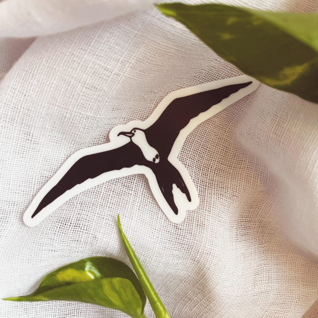 Mini Iwa Bird | Great Frigatebird Sticker | Seabird Sticker - Etsy