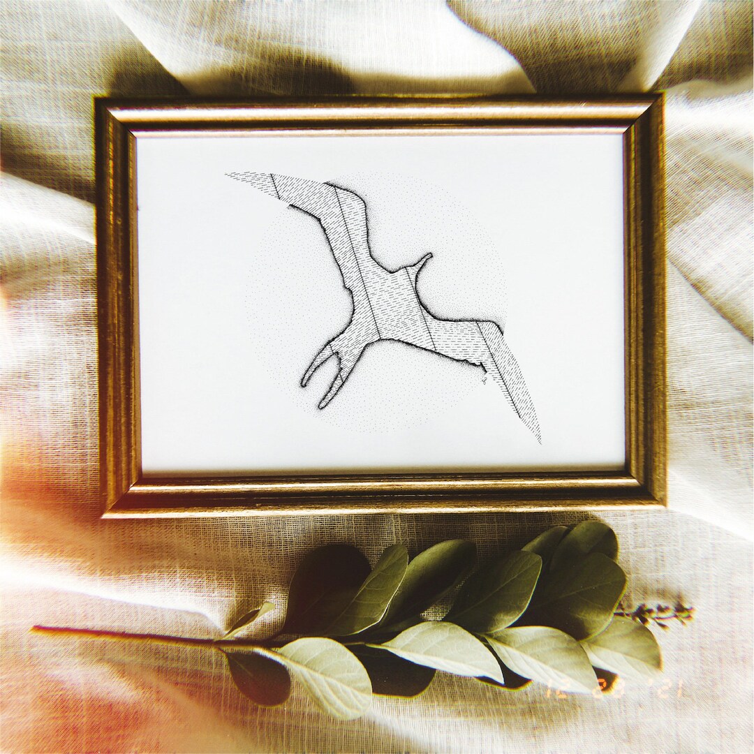 Iwa Bird Art Print Sunny Weeks Line Art Bird Line Drawing Haleiwa ...