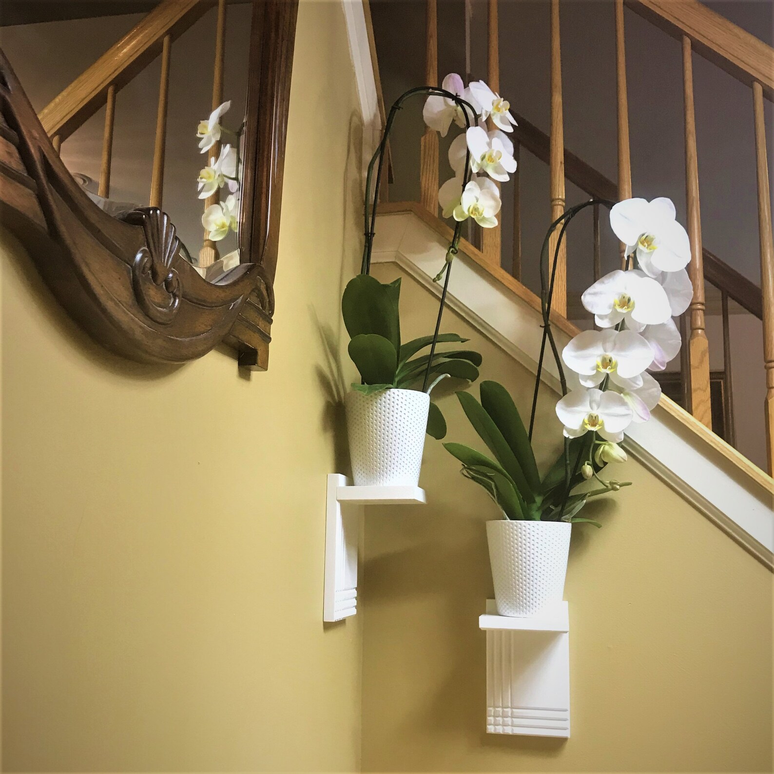 Corner Planter Small Wall Floating Shelf Succulent Shelves | Etsy