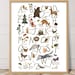 Woodland Animal Alphabet With Watercolor Details, Perfect for a ...