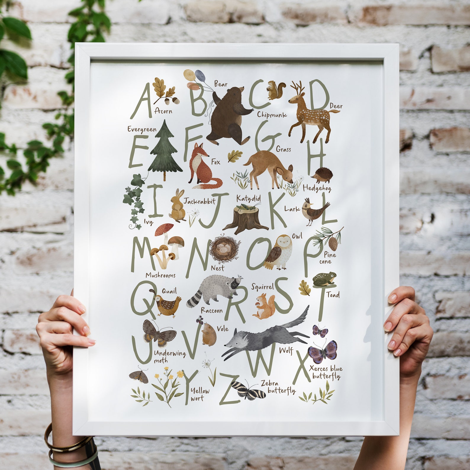 Woodland Animal Alphabet With Watercolor Details Perfect for - Etsy