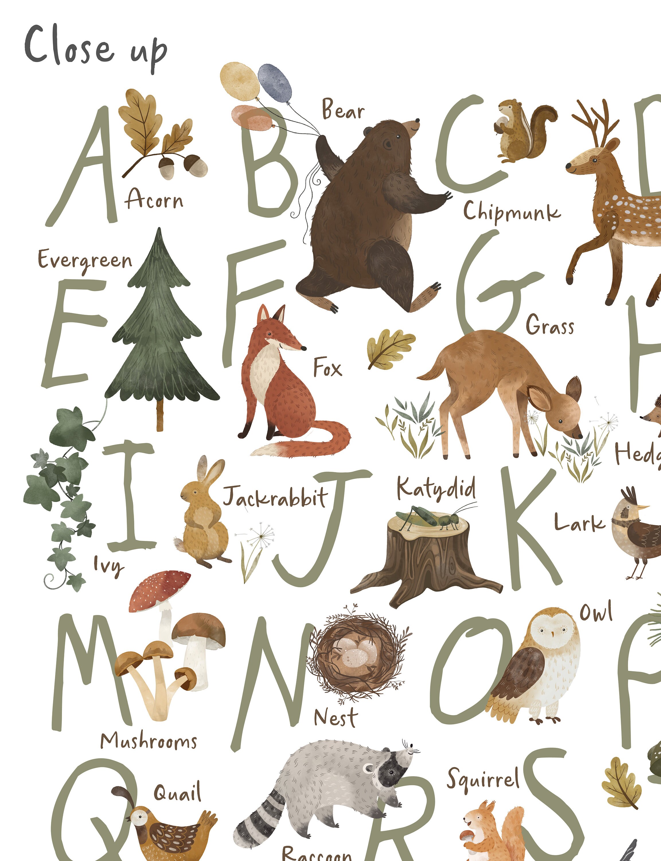 Woodland Animal Alphabet With Watercolor Details Perfect for - Etsy