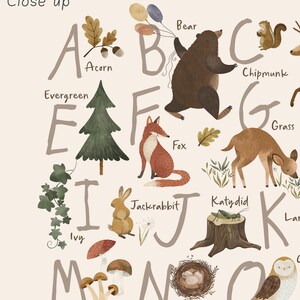 Set of Two Woodland Animal Alphabet and Numbers, Perfect for a Woodland ...