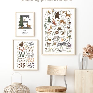 Woodland Animal Alphabet With Watercolor Details, Perfect for a ...