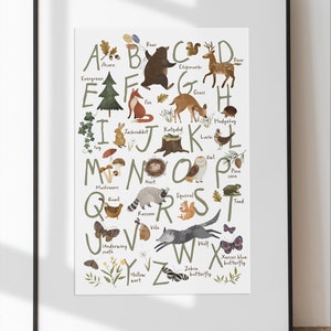 Woodland Animal Alphabet With Watercolor Details Perfect for - Etsy