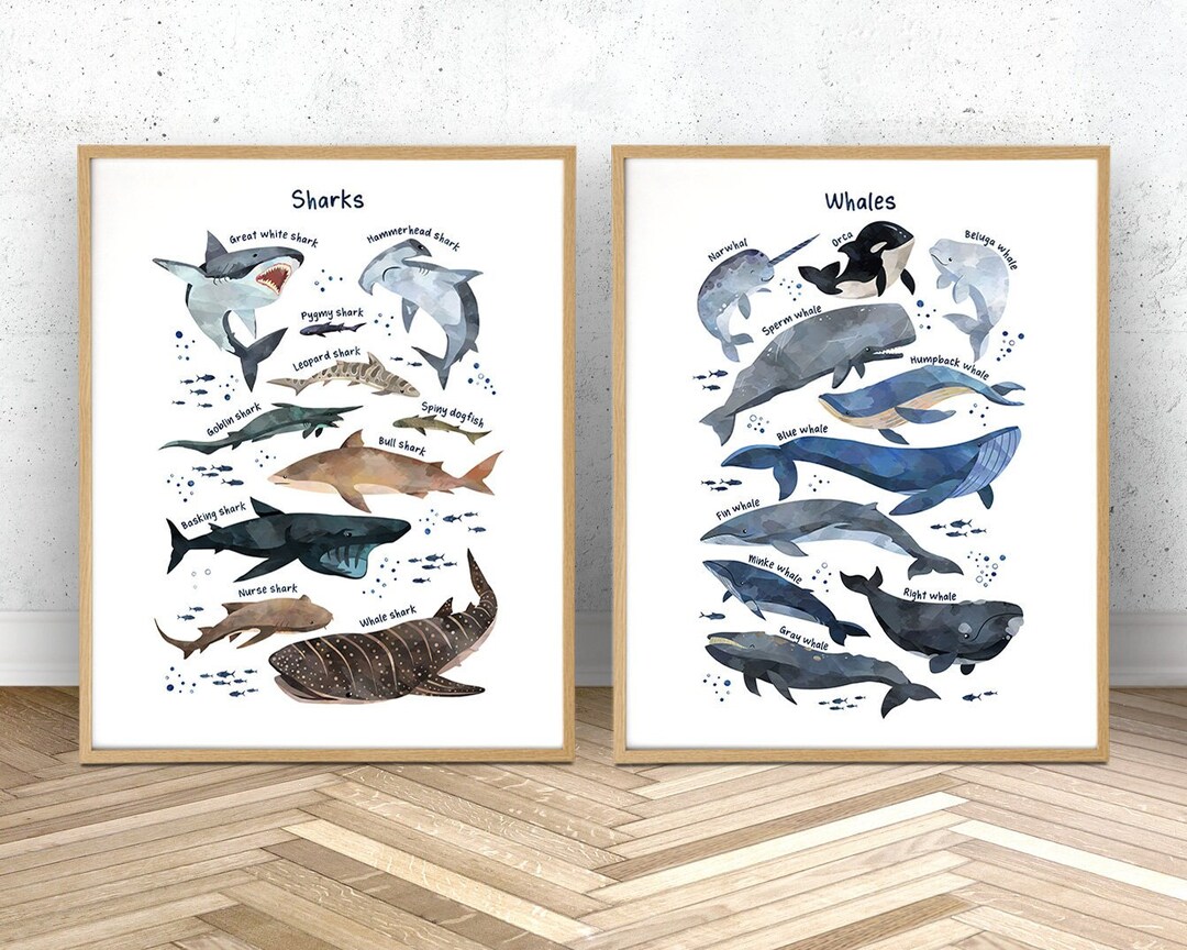 Set of 2 Whales and Sharks Watercolor Effect Prints, Ocean Theme ...