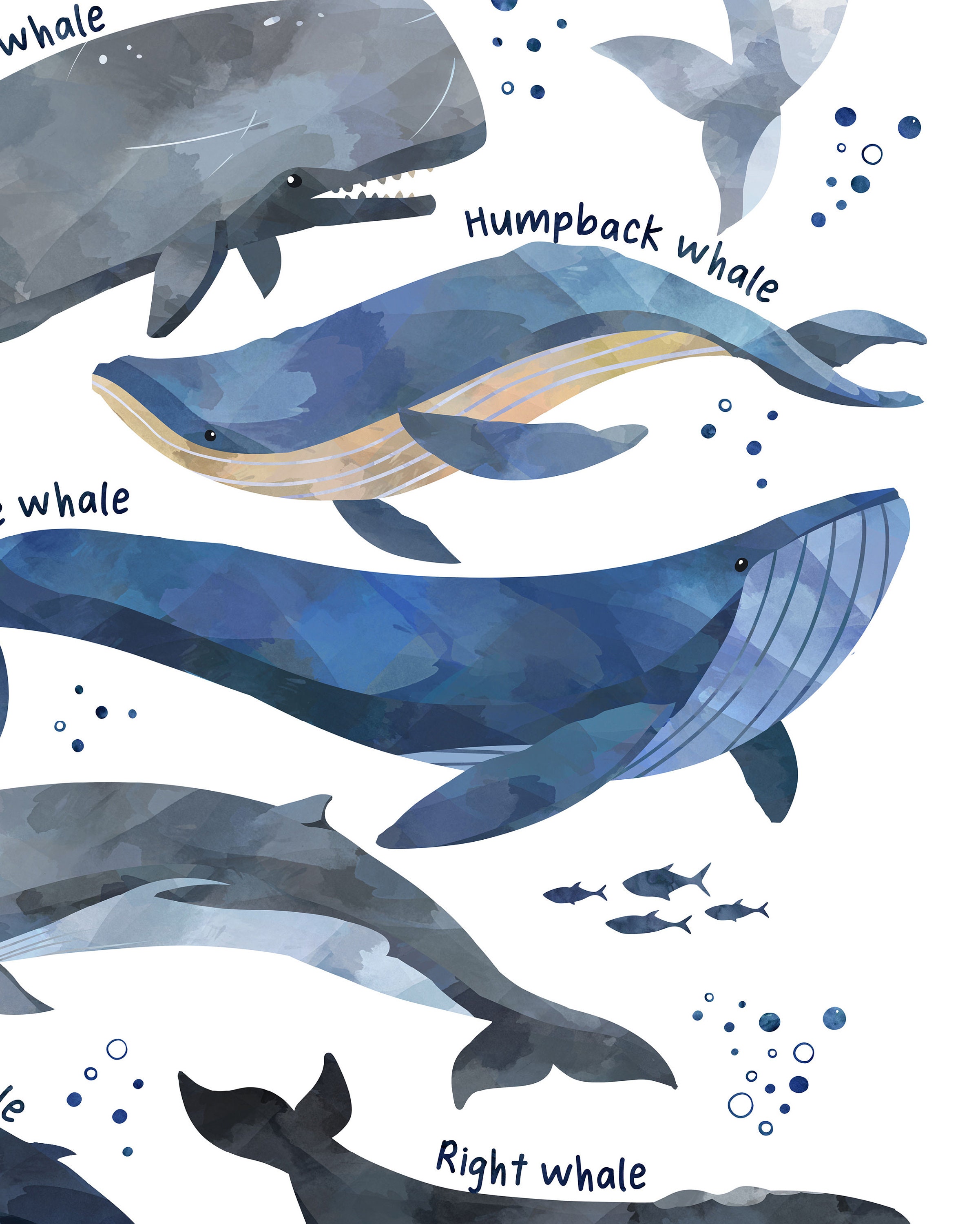 Whale Watercolor Effect Print Ocean Theme Nursery Sea Life | Etsy