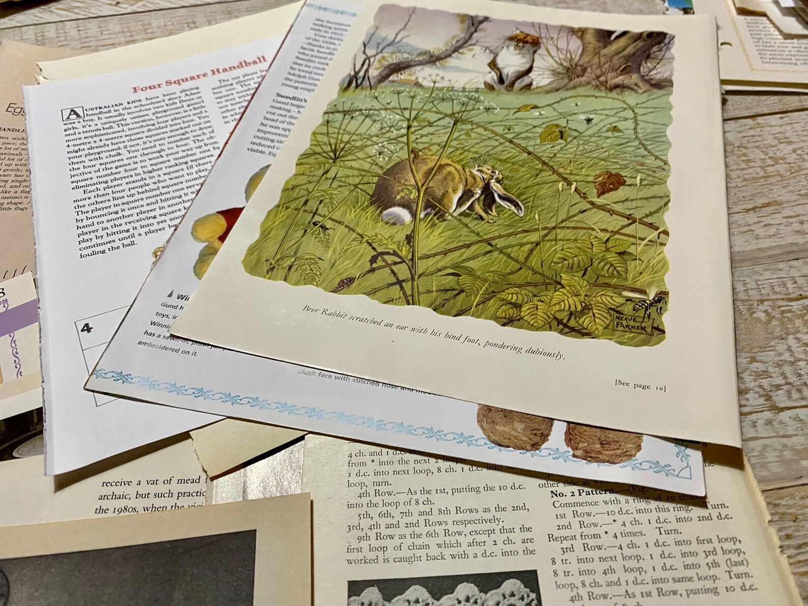 Bundle of Fifty Pages Plus Vintage and Antique Book Pages for Junk ...