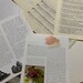 Bundle of Fifty Pages Plus Vintage and Antique Book Pages for - Etsy