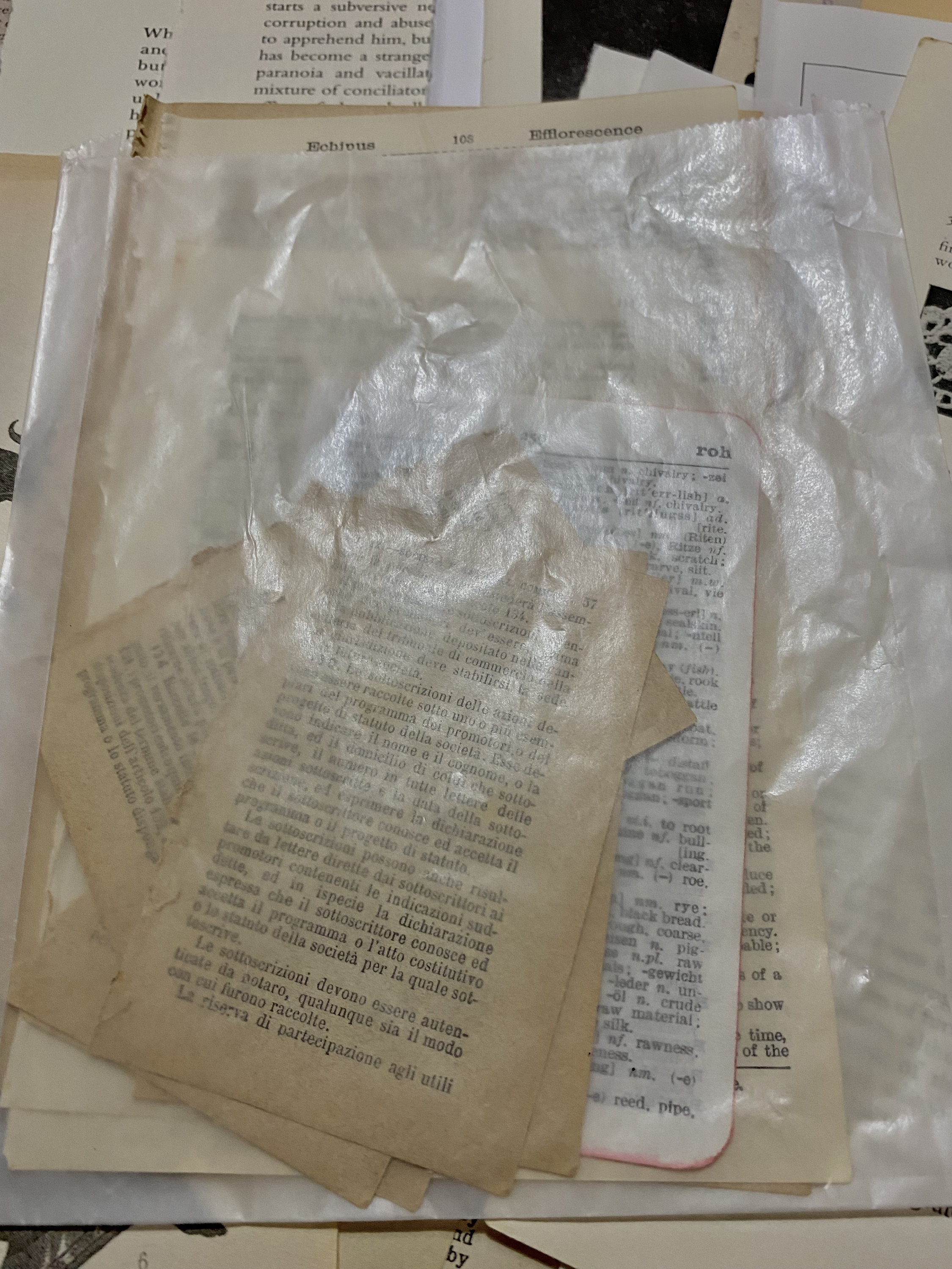 Bundle of Fifty Pages Plus Vintage and Antique Book Pages for - Etsy