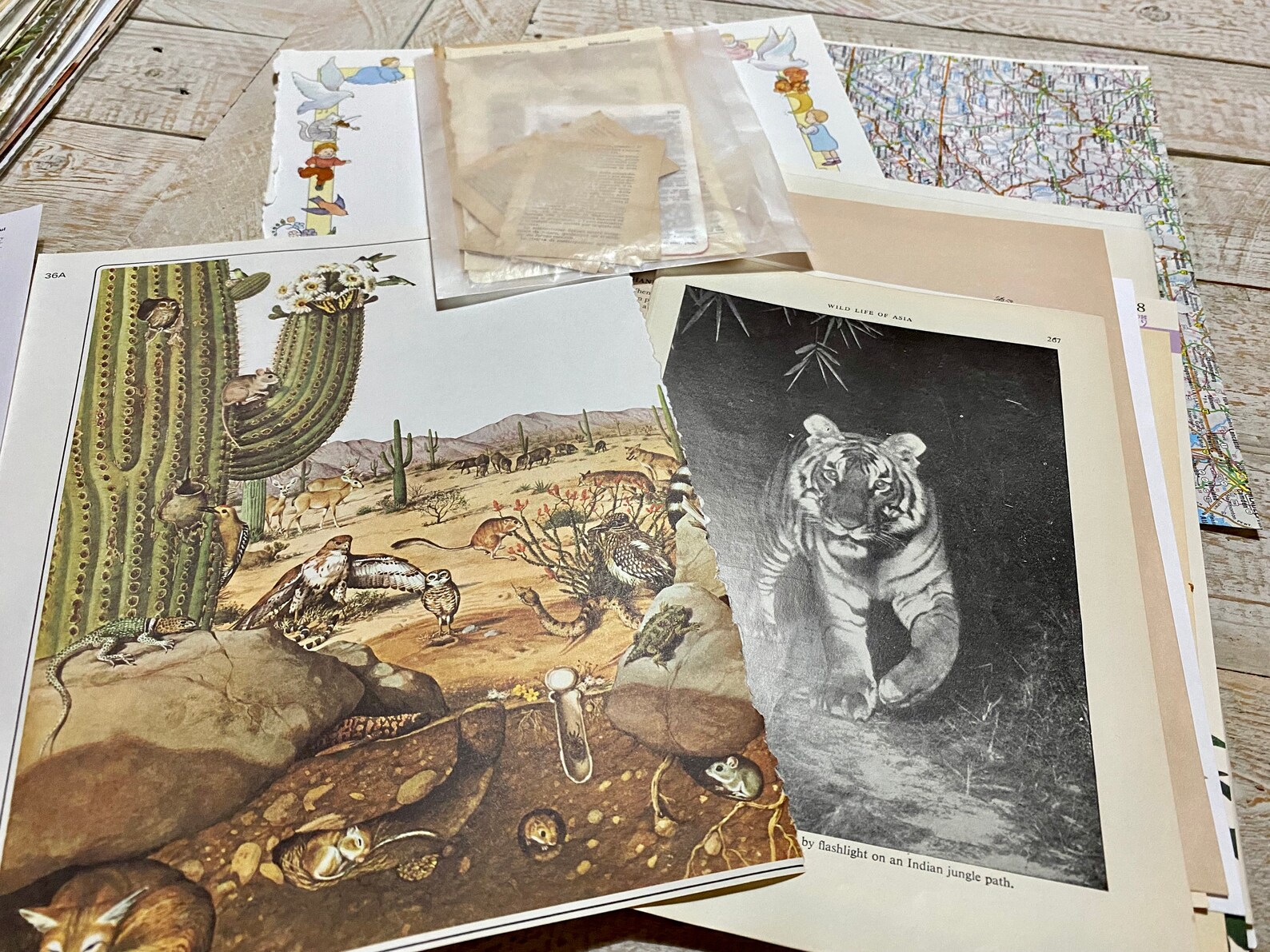 Bundle of Fifty Pages Plus Vintage and Antique Book Pages for - Etsy