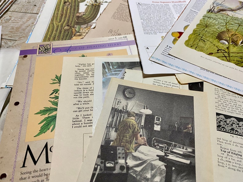 Bundle of Fifty Pages Plus Vintage and Antique Book Pages for Junk ...