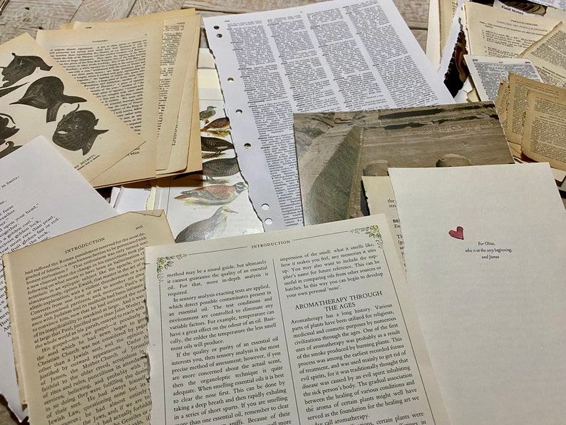 Bundle of Fifty Pages Plus Vintage and Antique Book Pages for - Etsy