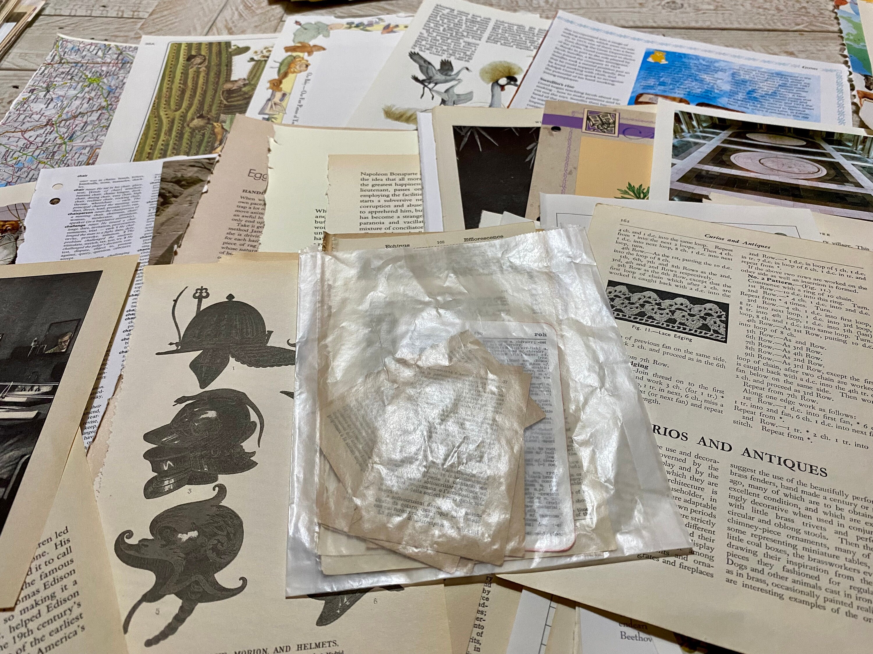 Bundle of Fifty Pages Plus Vintage and Antique Book Pages for - Etsy