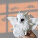Moth Plush Doll,handmade Realistic Fantasy Creature Baby Doll Toys ...