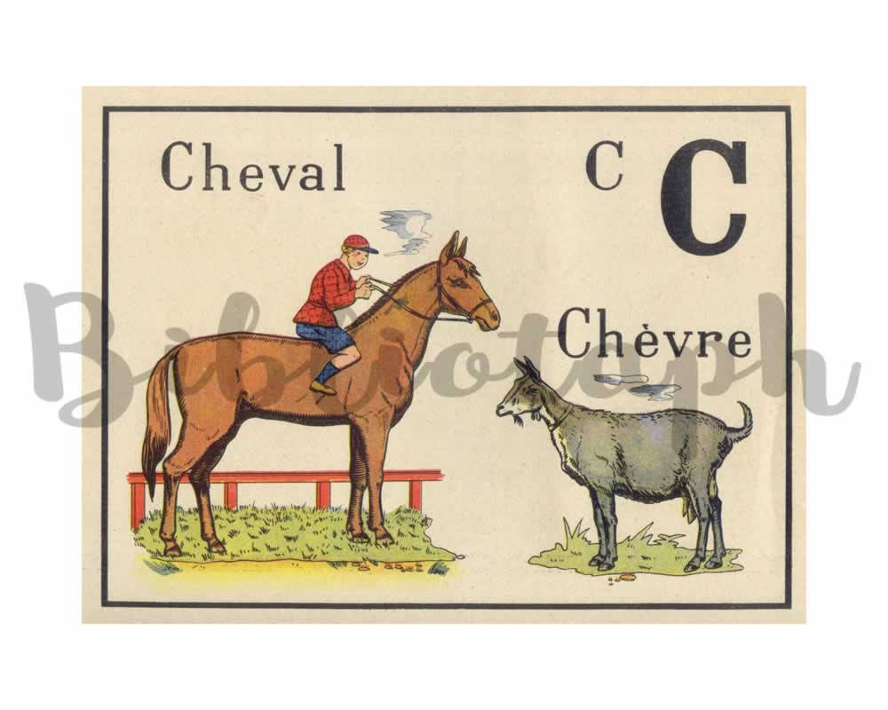 Letter C French Art French Alphabet French Baby - Etsy Singapore