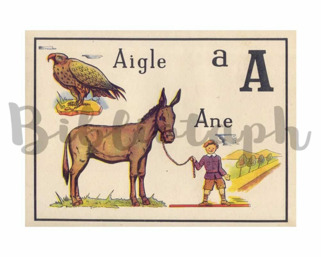 Letter A French Art French Alphabet French Baby - Etsy