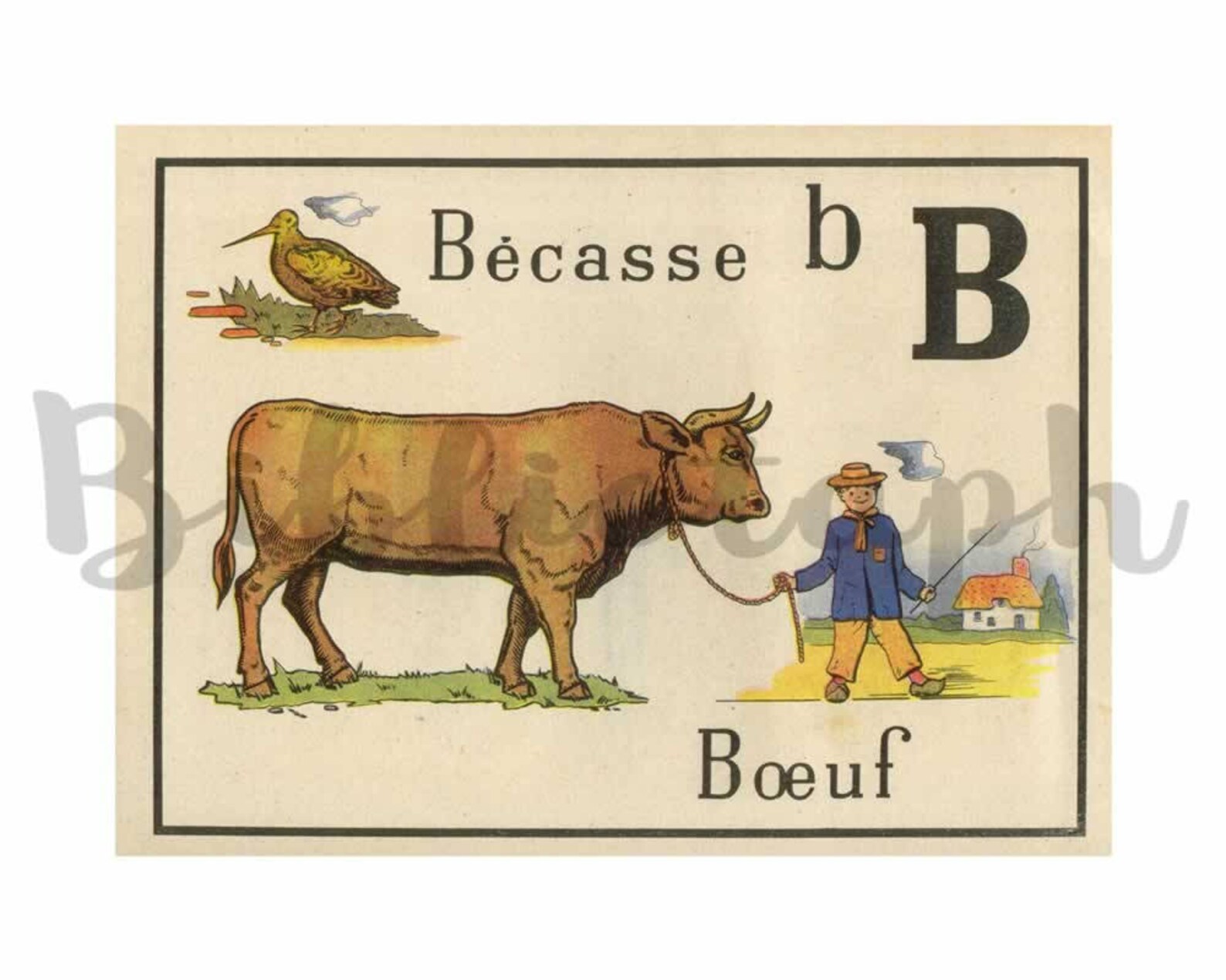 Letter B French Art French Alphabet French Baby - Etsy