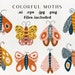 Colorful Moth Clip Art - Modern Hand Drawn Moth Clipart, Doodle Insect ...