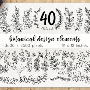 Hand Drawn Floral Elements - Doodle Leaves Clipart, Floral Doodle ...