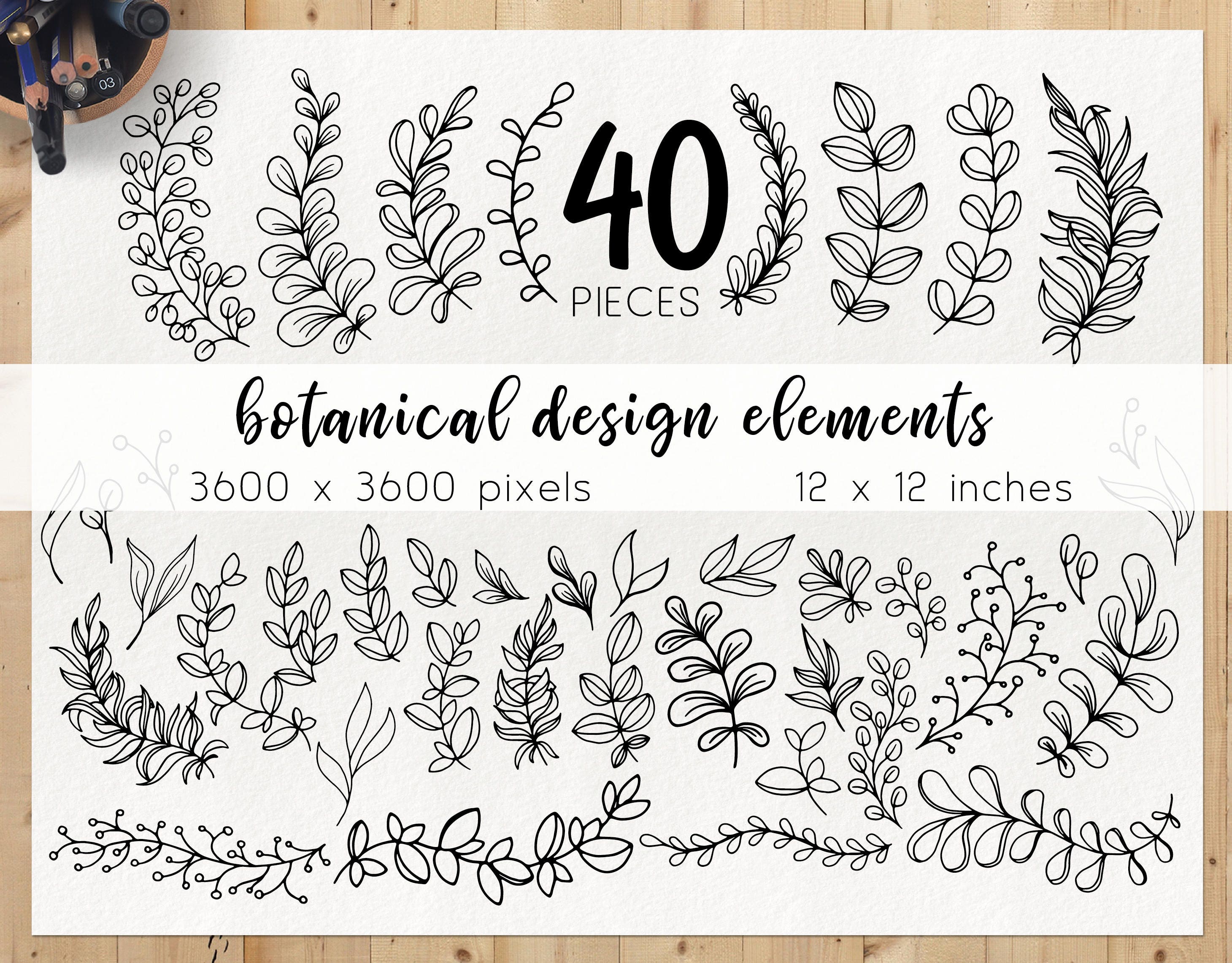 Hand Drawn Floral Elements - Doodle Leaves Clipart, Floral Doodle ...