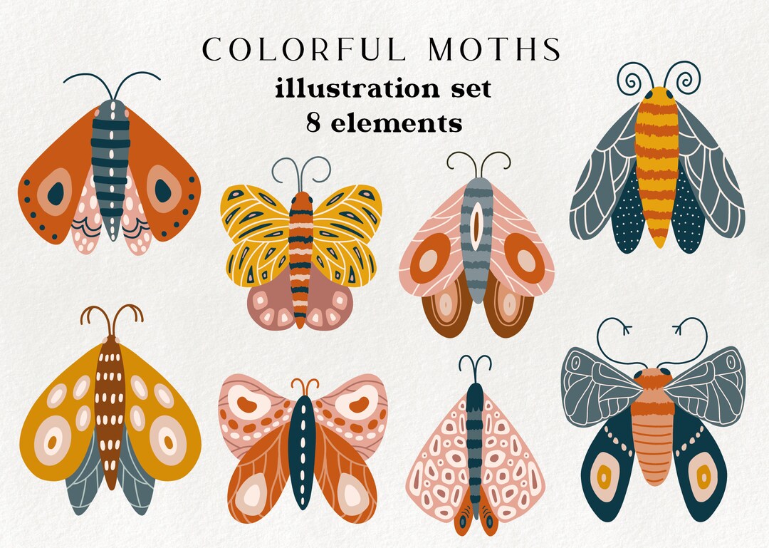 Colorful Moth Clip Art - Modern Hand Drawn Moth Clipart, Doodle Insect ...