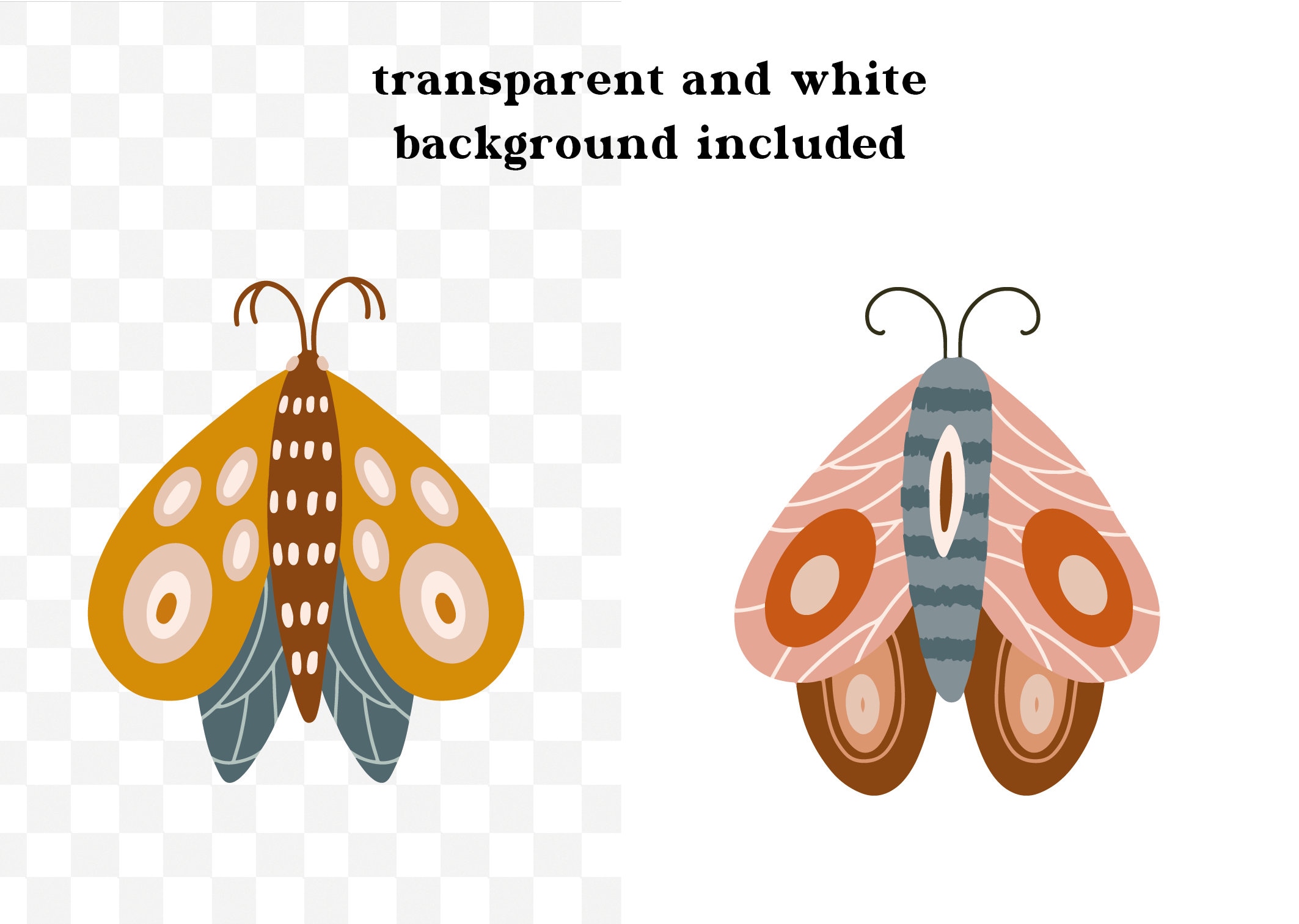 Colorful Moth Clip Art - Modern Hand Drawn Moth Clipart, Doodle Insect ...