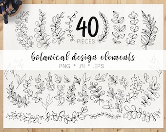 Hand Drawn Floral Elements Doodle Leaves Clipart Floral | Etsy