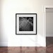 The Guinness Line, Art, Black & White DIGITAL Print, Wall Art, Poster ...