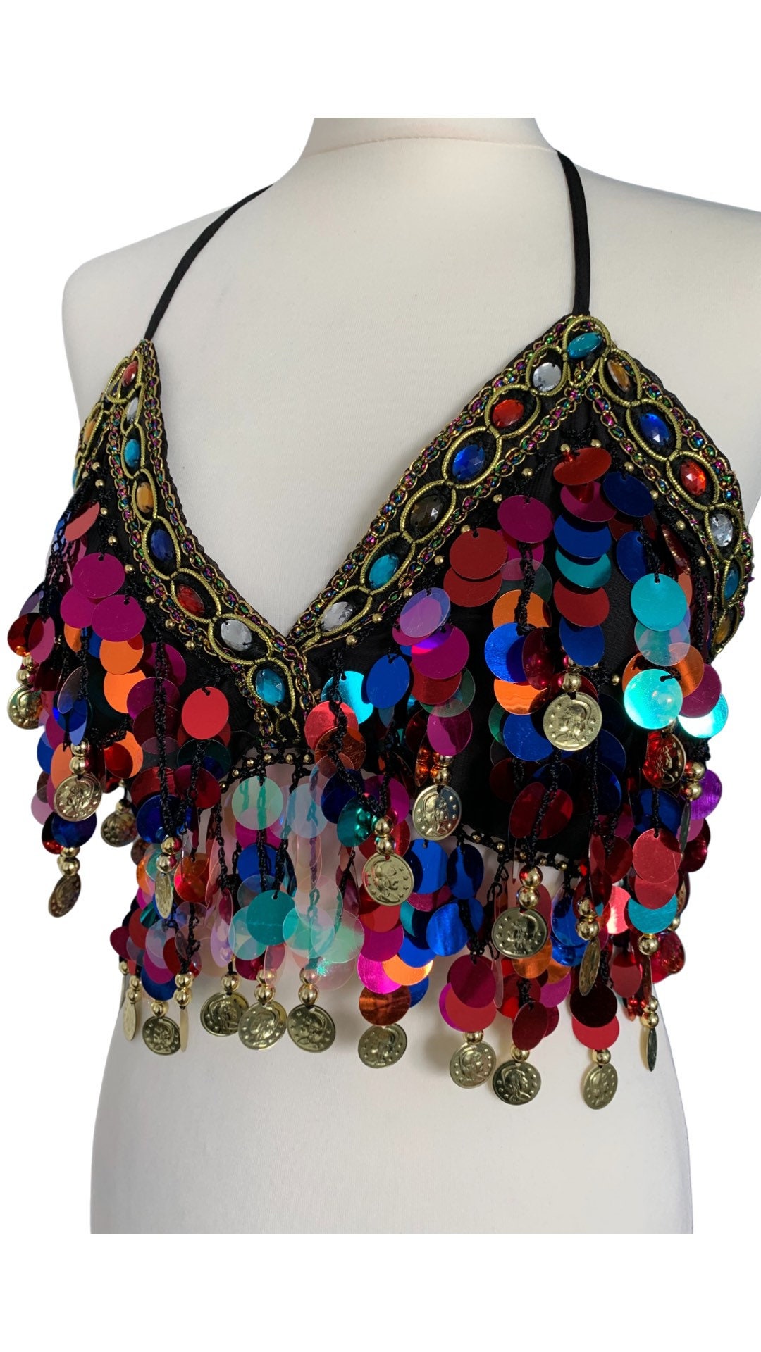 Embellished Sequin Tassel Festival Top, Belly Dance Costume Cropped Top ...