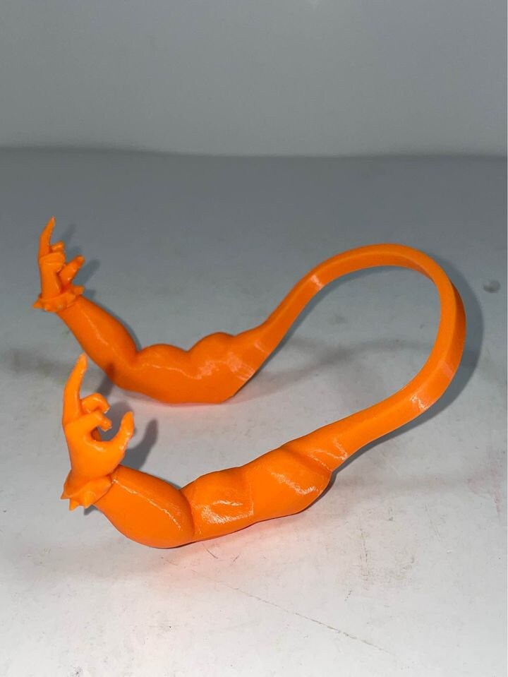 Chicken Arms Middle Finger - Etsy