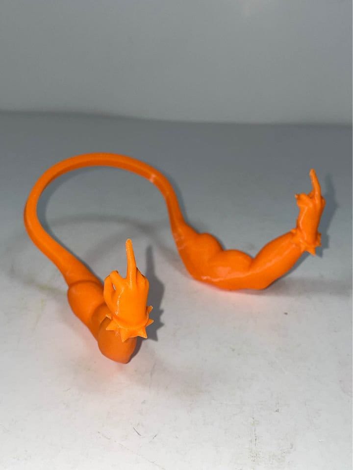 Chicken Arms Middle Finger - Etsy