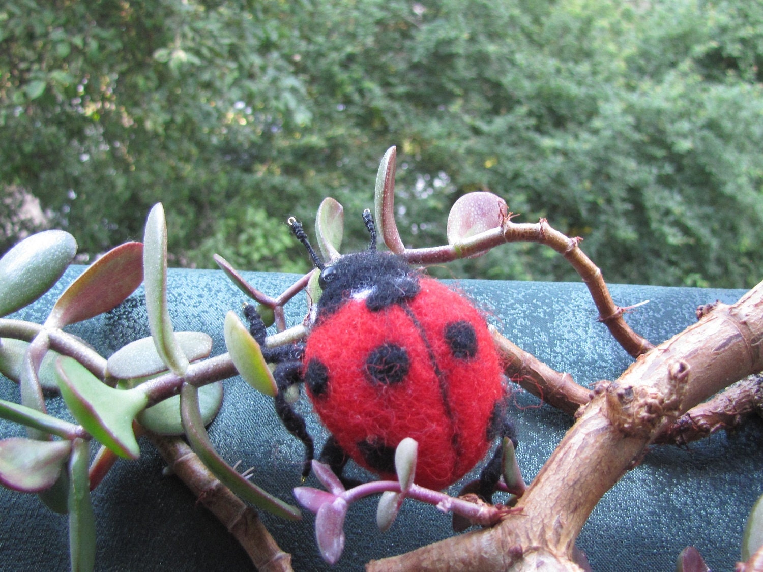 Wool Ladybug Beetle Made of Wool Gift for a Girl Good Luck - Etsy