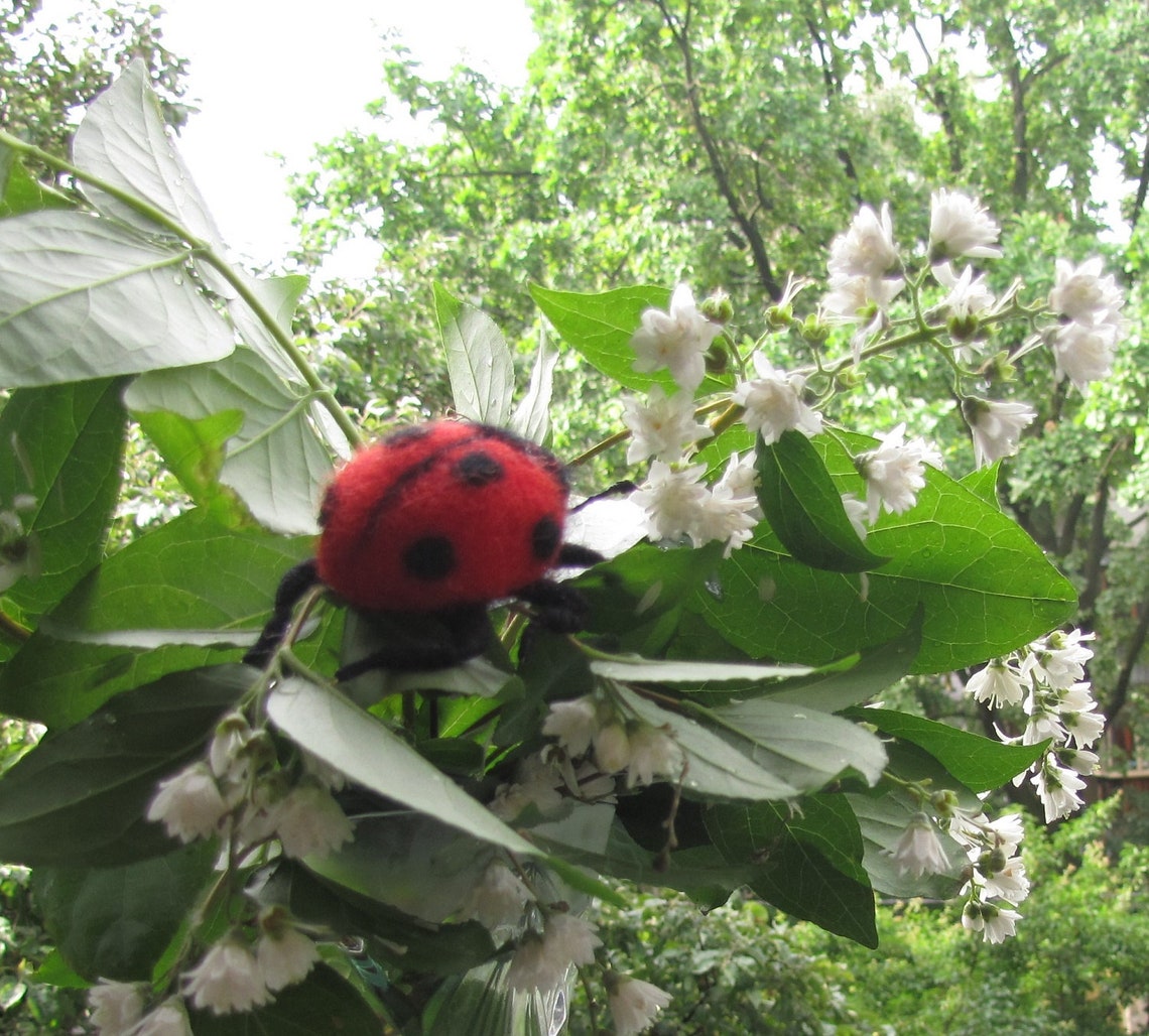 Wool Ladybug Beetle Made of Wool Gift for a Girl Good Luck - Etsy