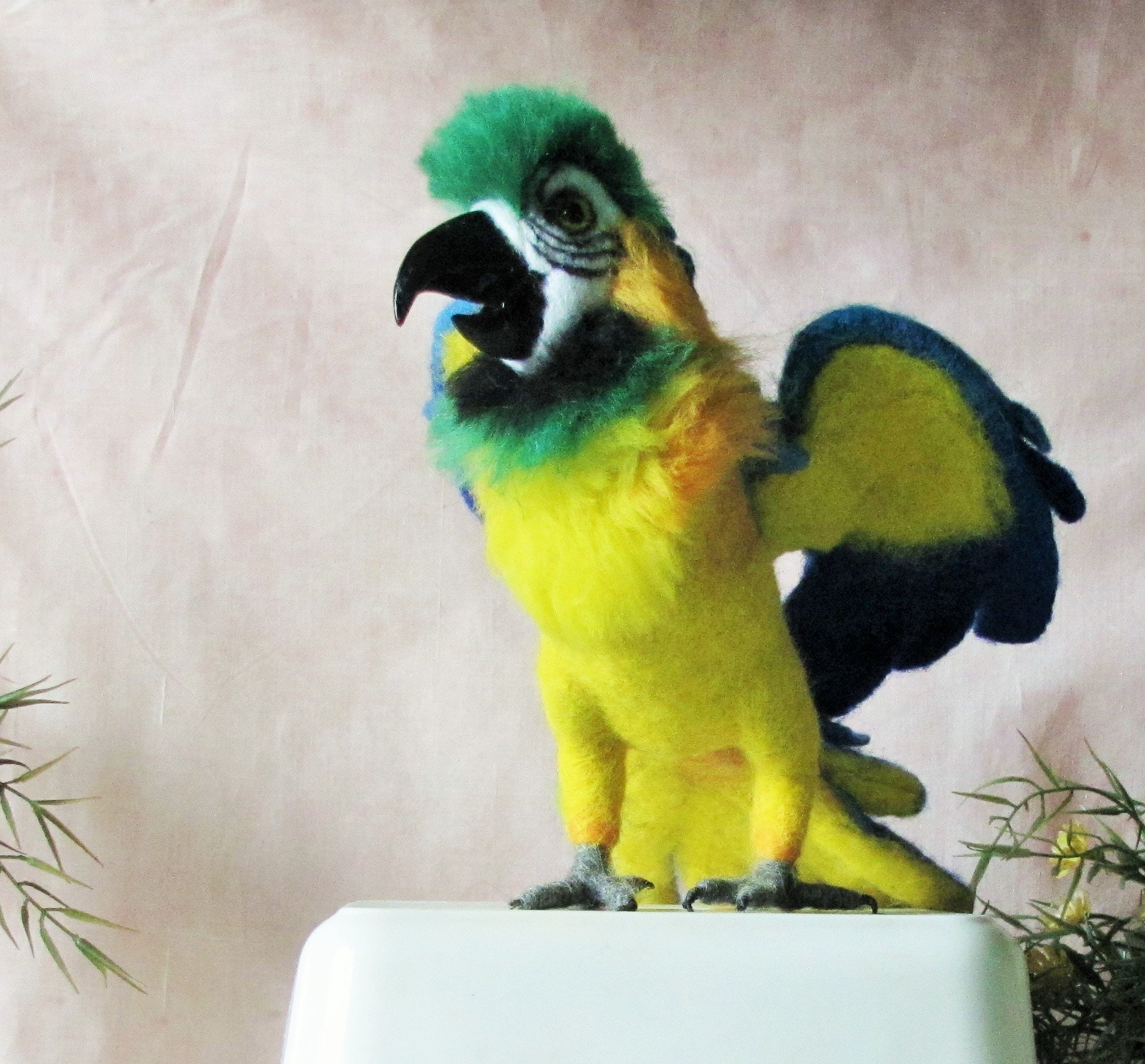Felt Parrot Macaw Bird Made of Wool for Interior - Etsy