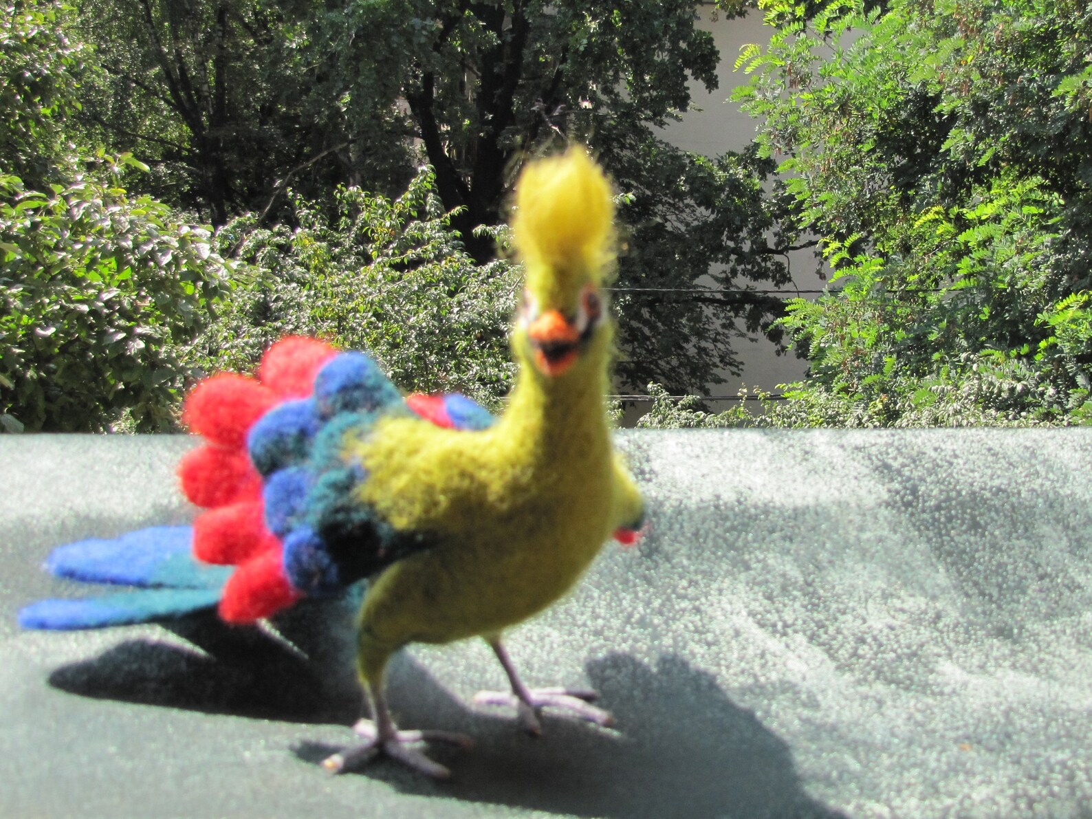 Bird of Paradise Bird of Wool Felt Bird - Etsy