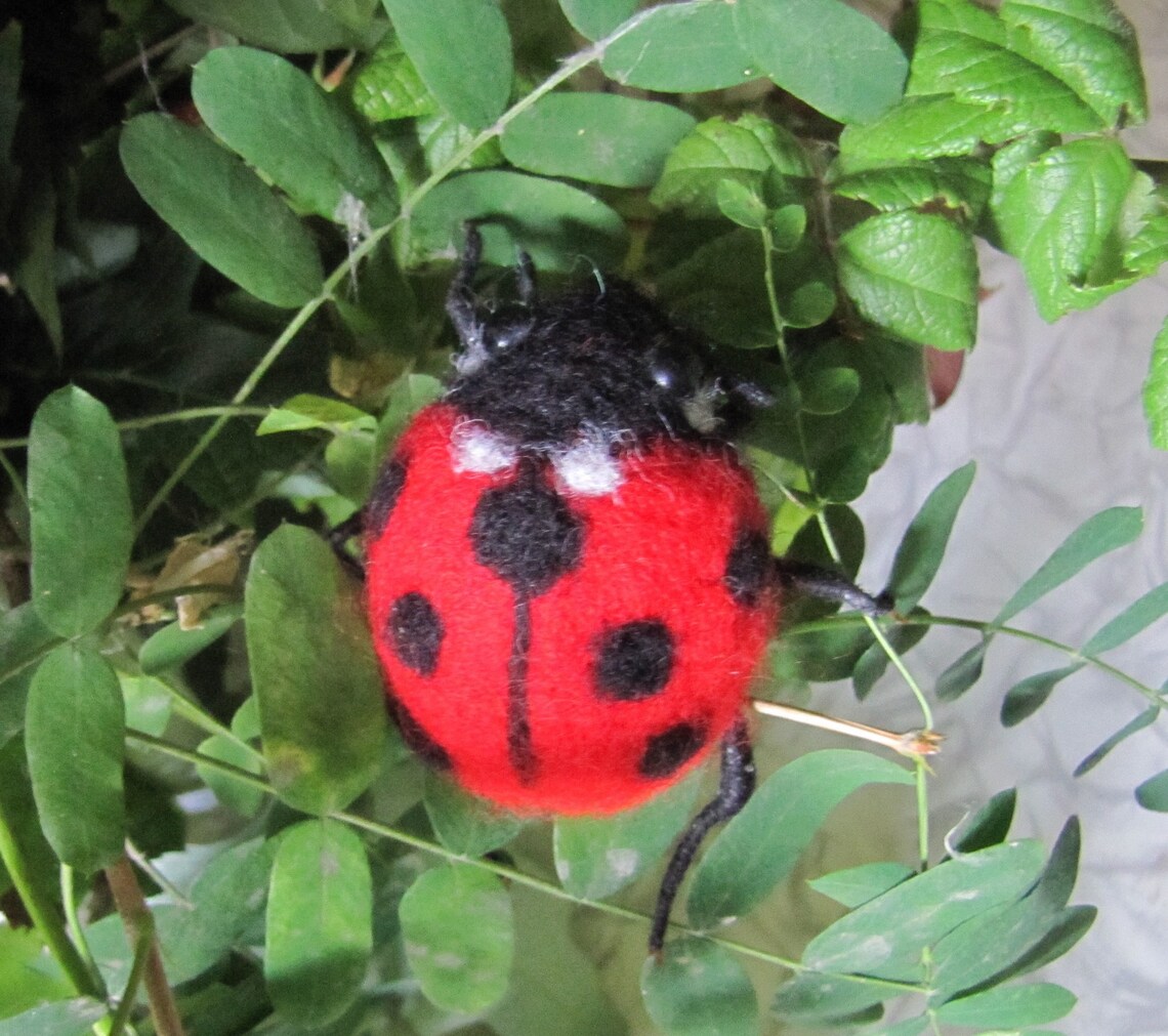 Wool Ladybug Beetle Made of Wool Gift for a Girl Good Luck - Etsy