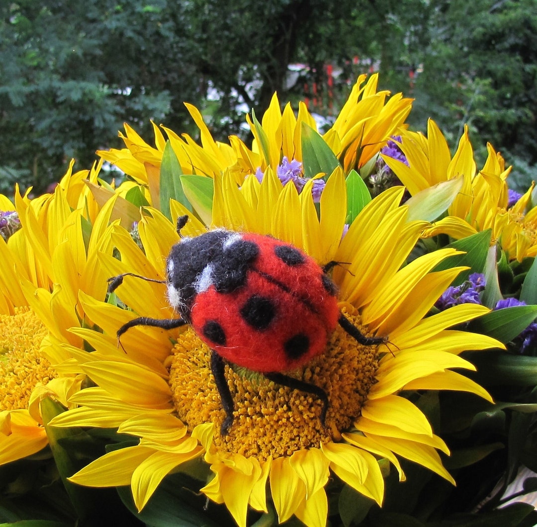 Wool Ladybug Beetle Made of Wool Gift for a Girl Good Luck Mascot - Etsy