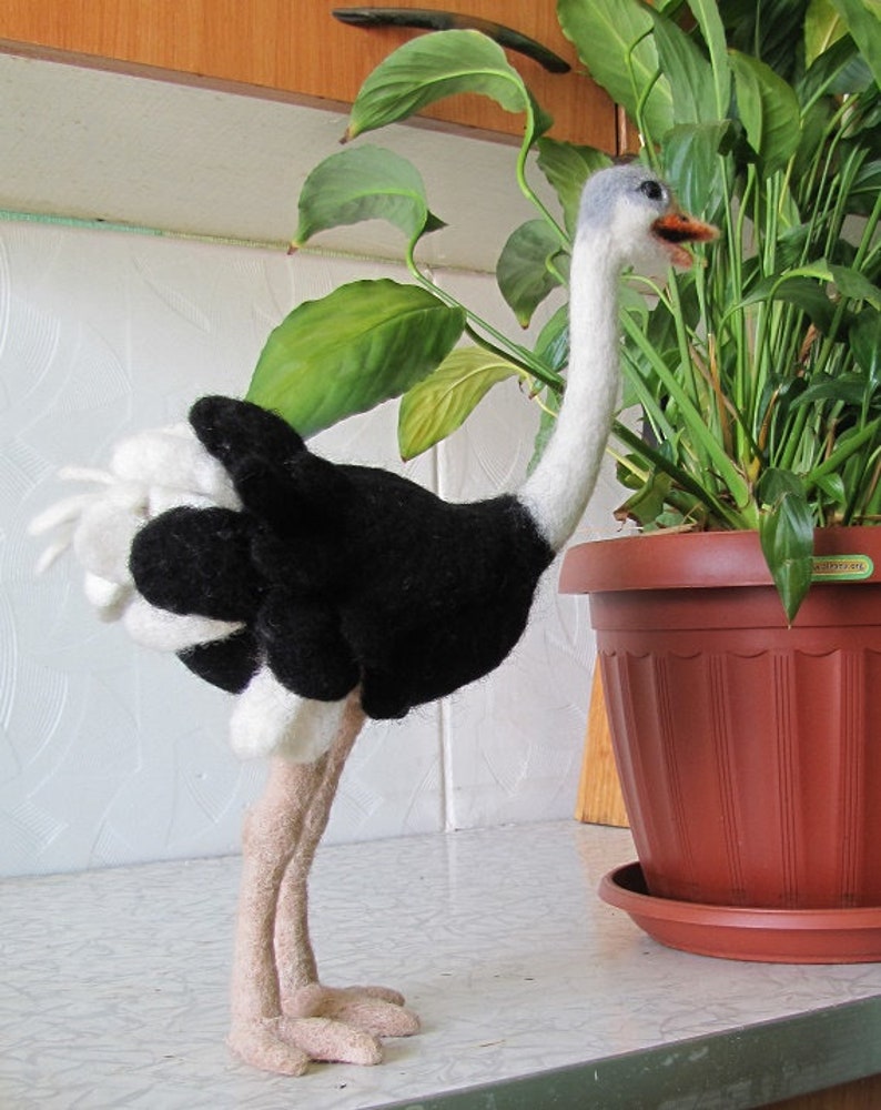 Ostrich Willie. Felted Bird. - Etsy